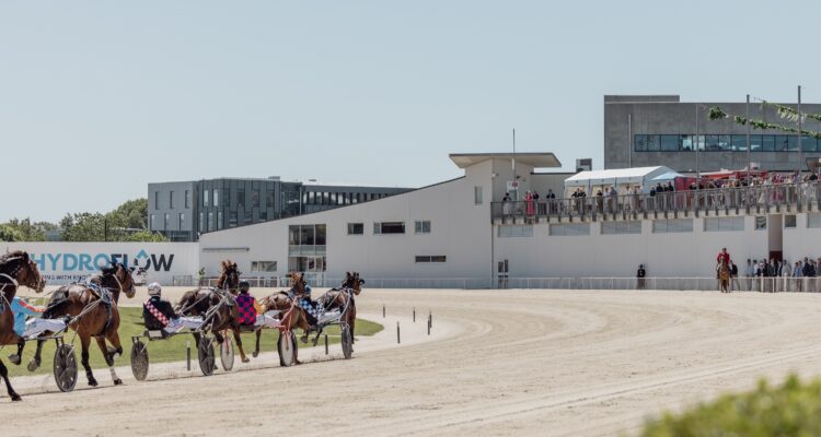 Show Day Twilight Races | Addington Raceway & Events Centre