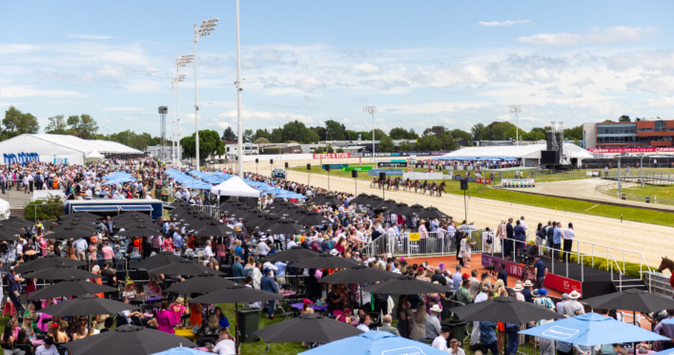 Reduced Ticket Prices Announced for 2024 IRT New Zealand Trotting Cup ...